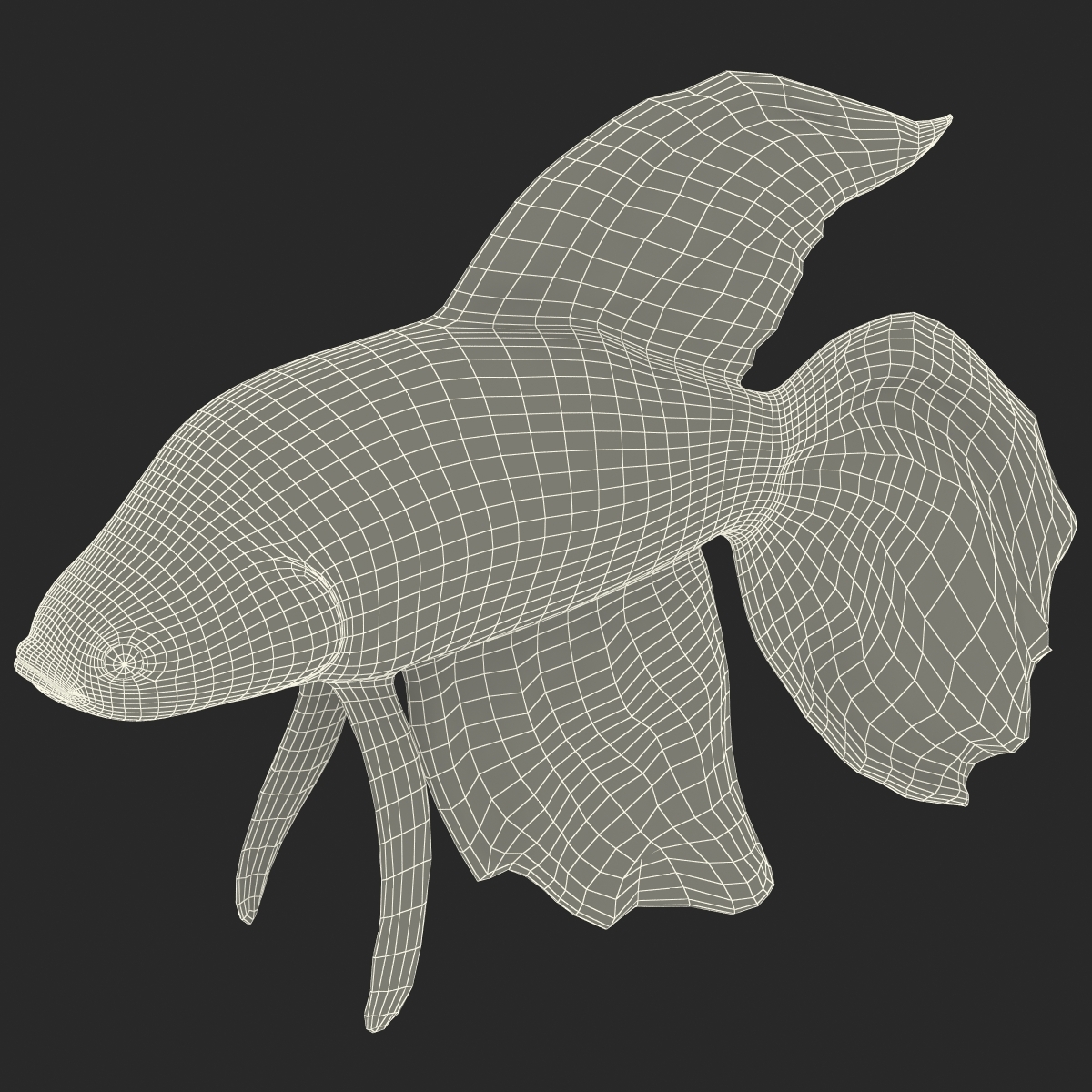 3ds max betta fish