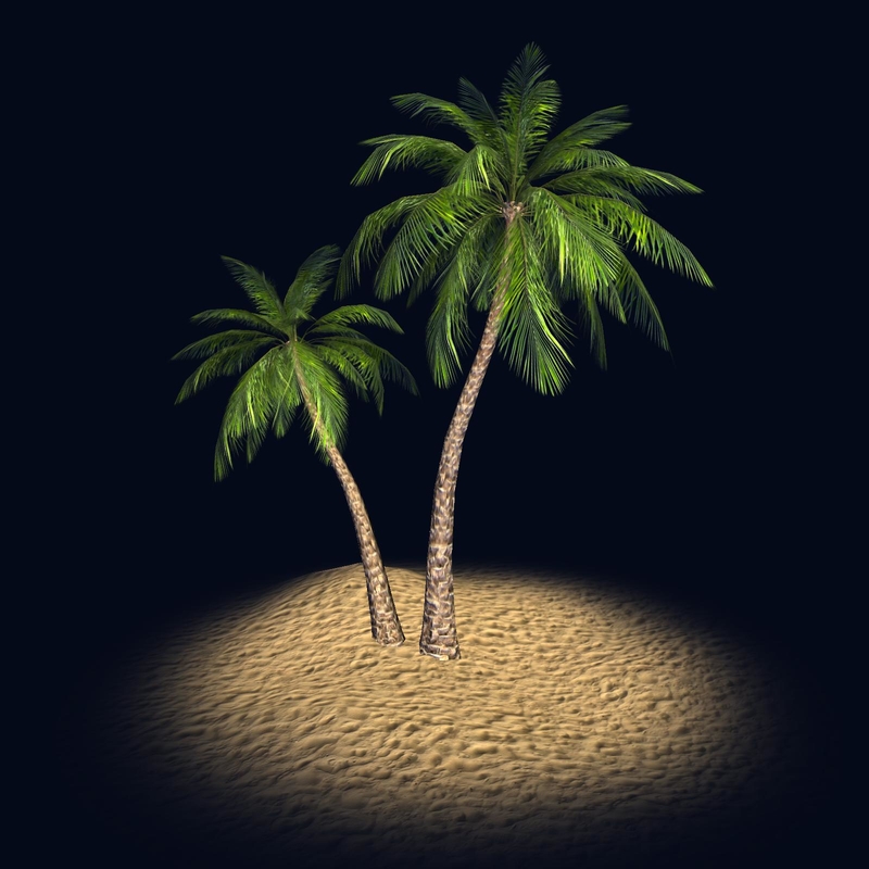 tropical palm tree 3d model