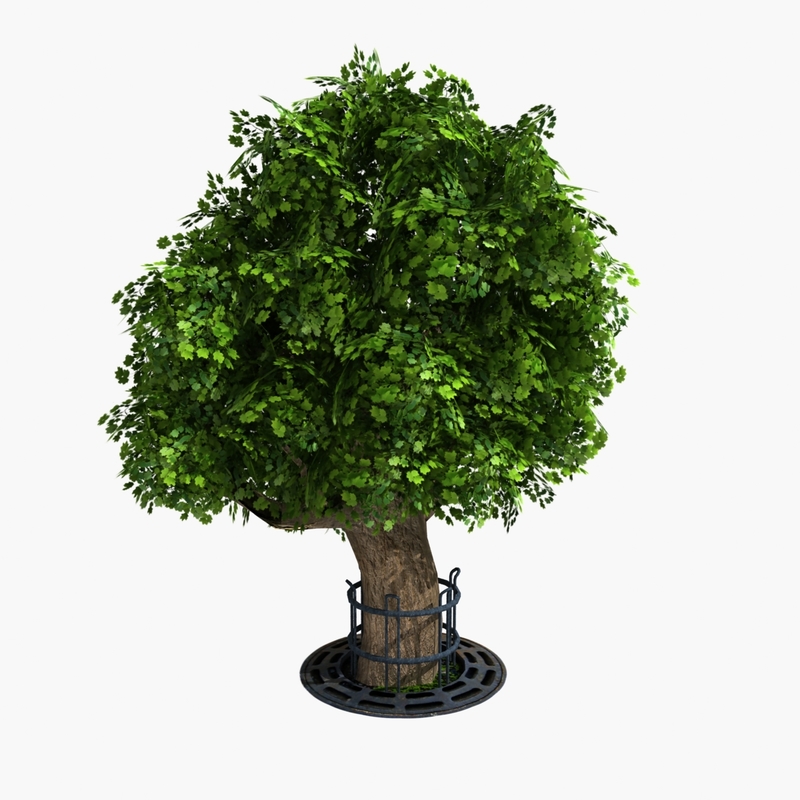 3ds max maple tree