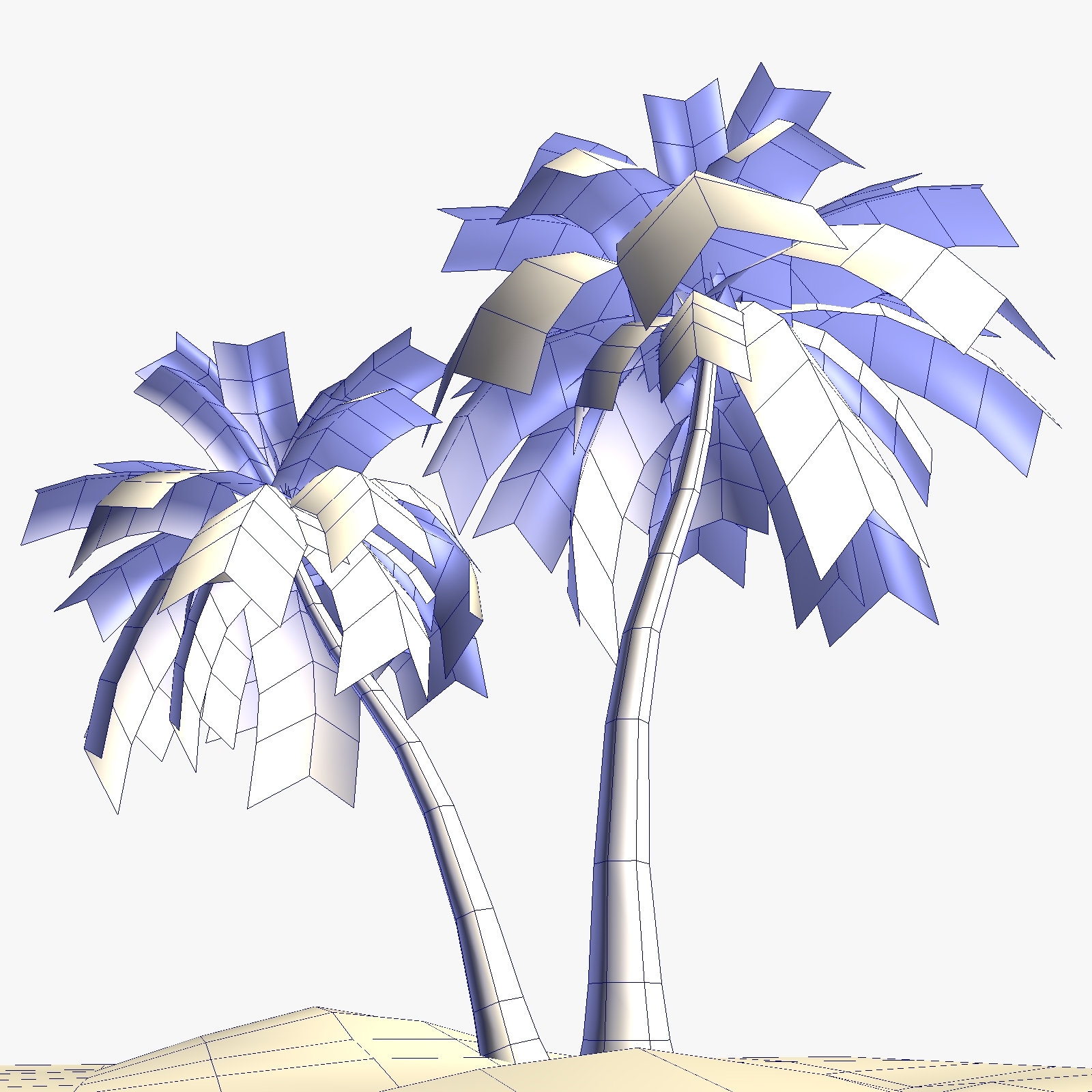 tropical palm tree 3d model