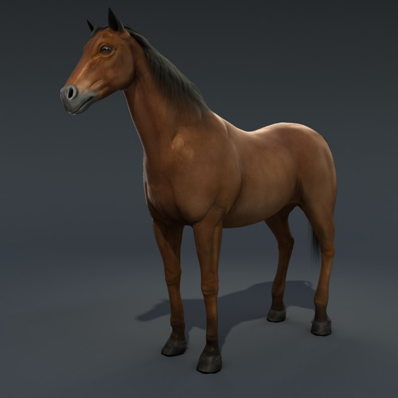3d model of horse