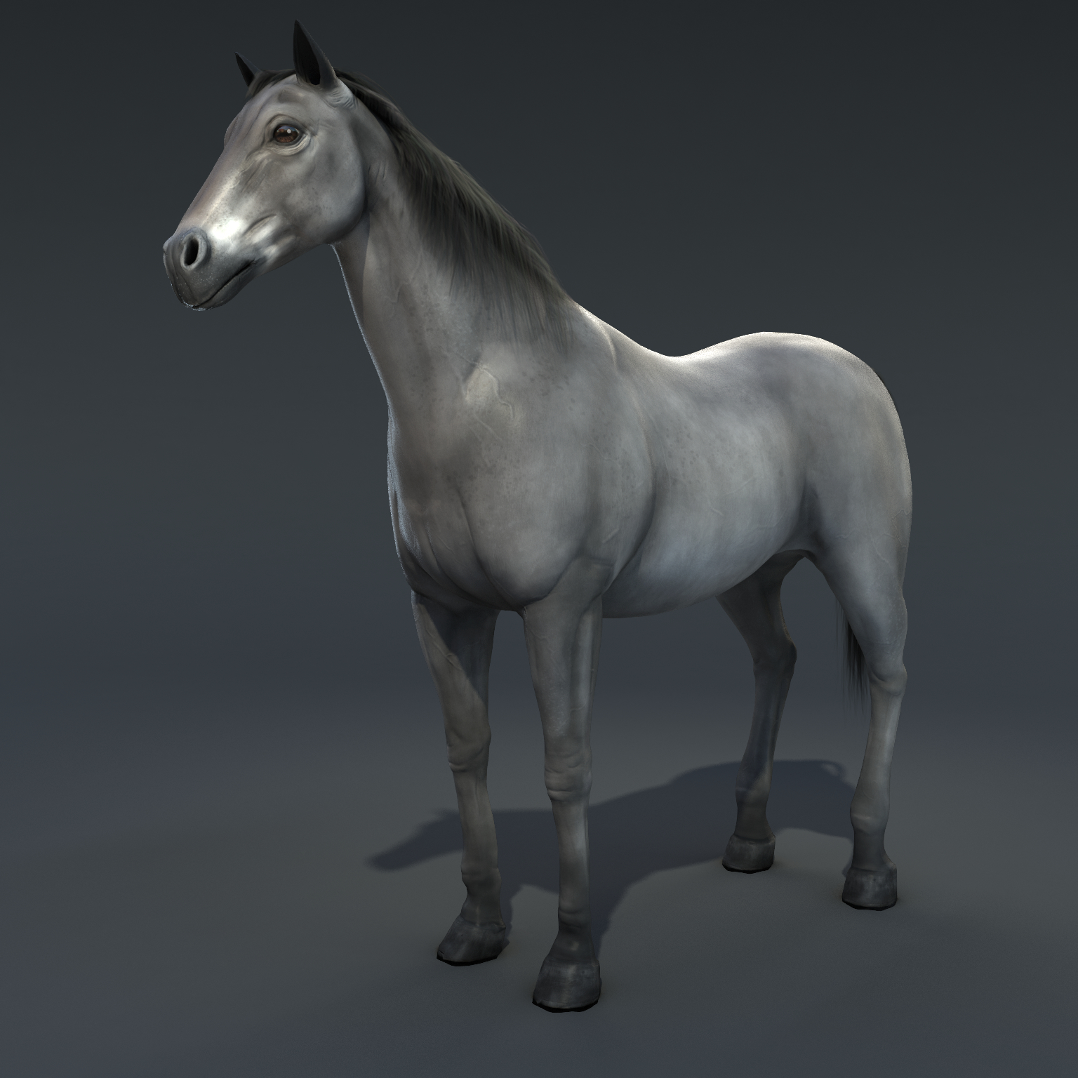 3d model of horse