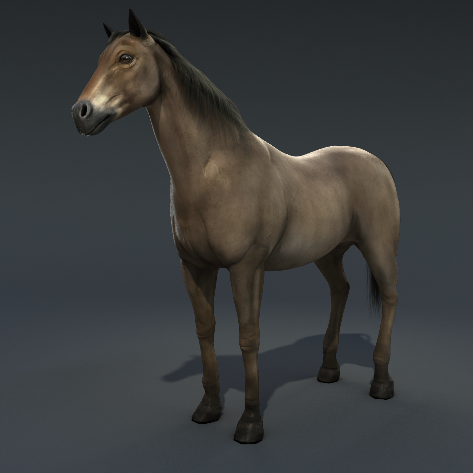 3d model of horse
