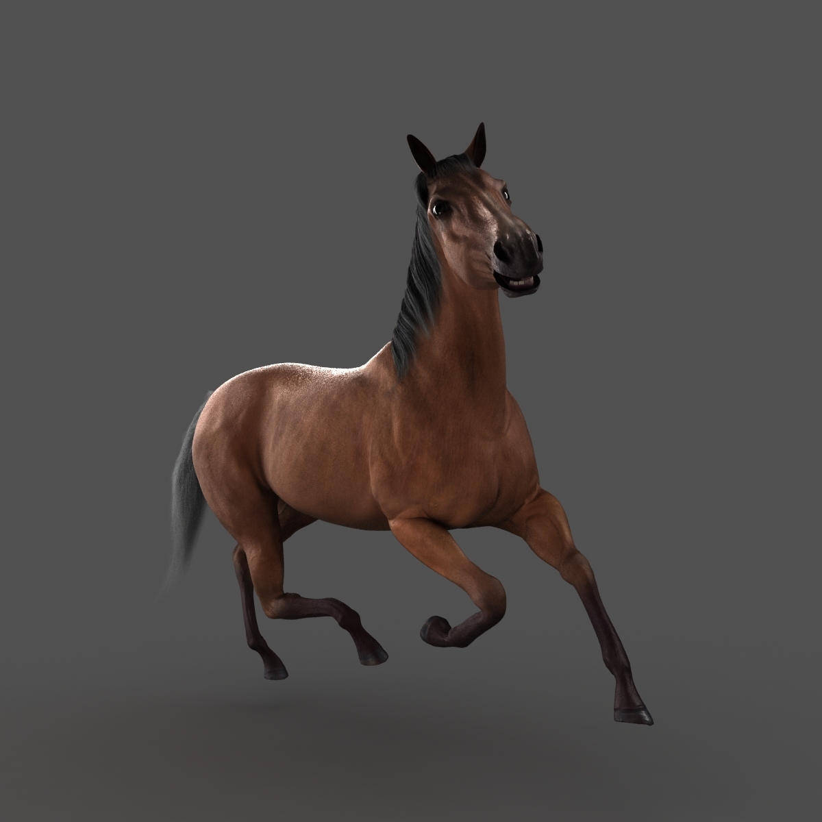 realistic horse 3d model