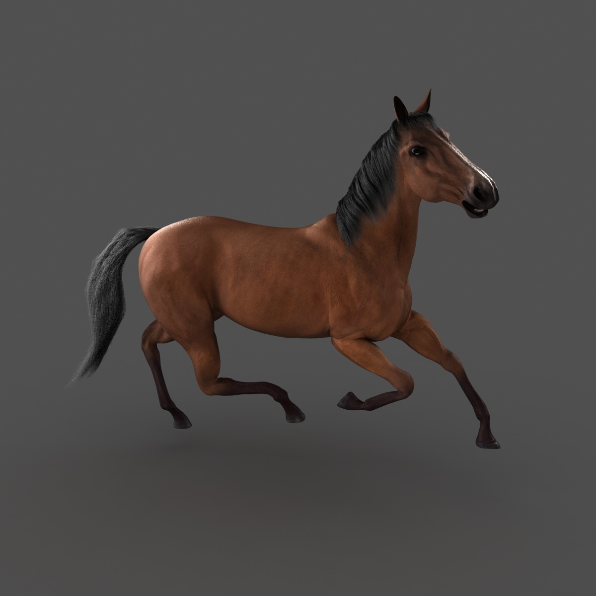 realistic horse 3d model