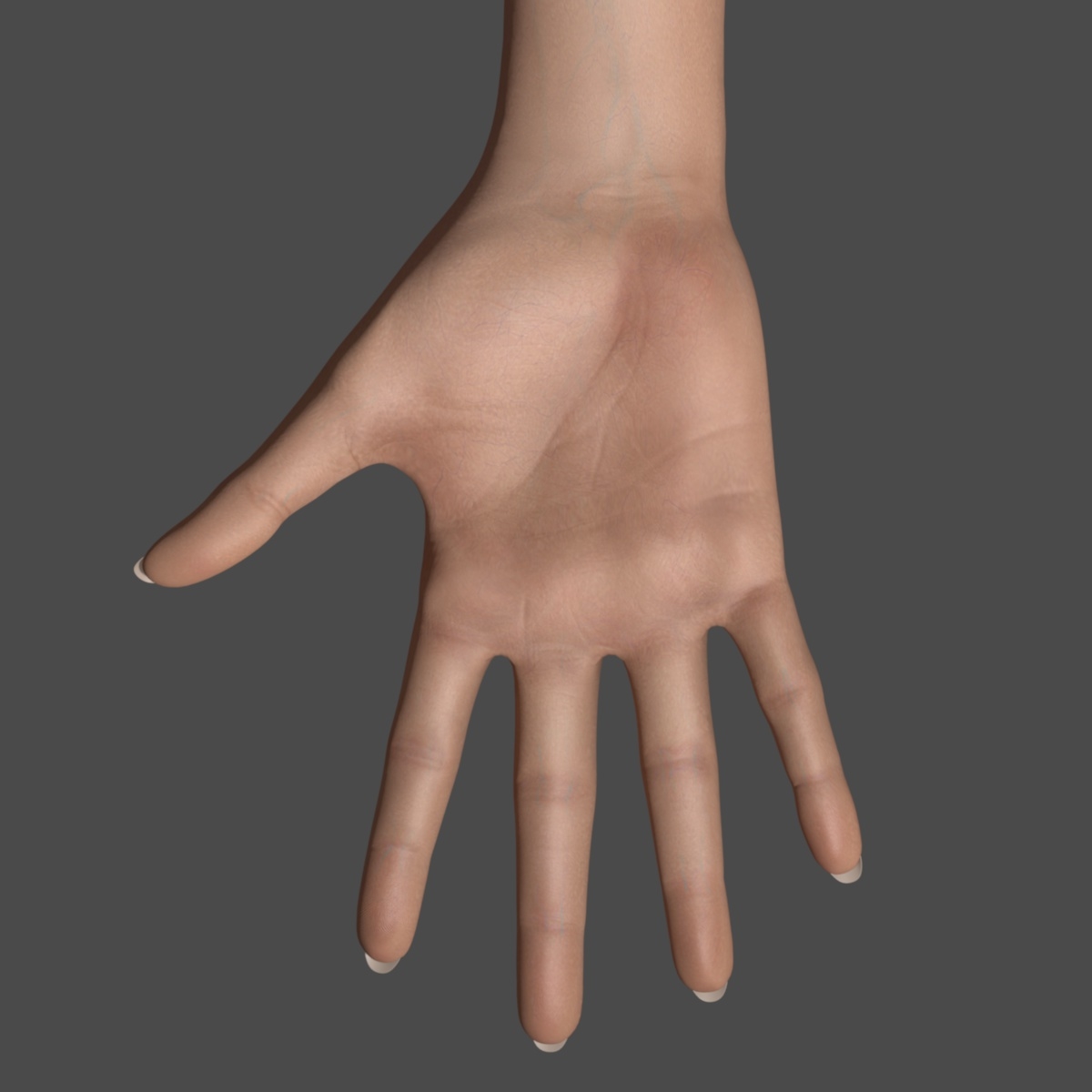 hand arm female pose c4d