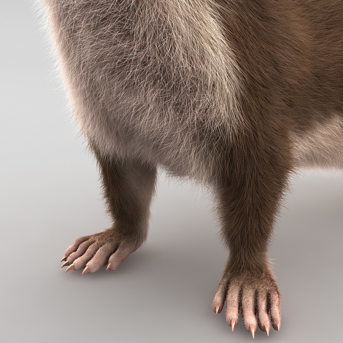 3d model weasel pose 4 fur