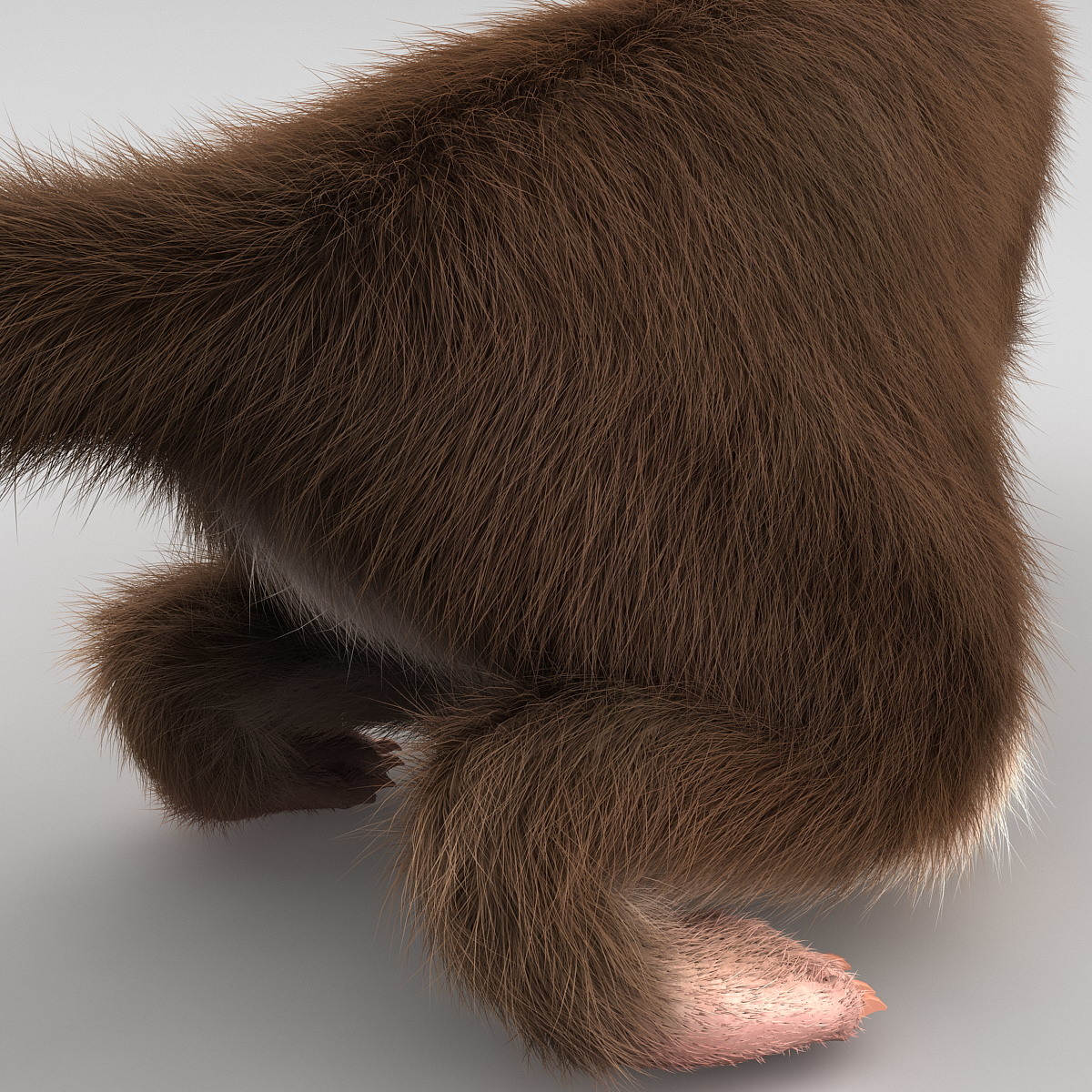 3d model weasel pose 4 fur