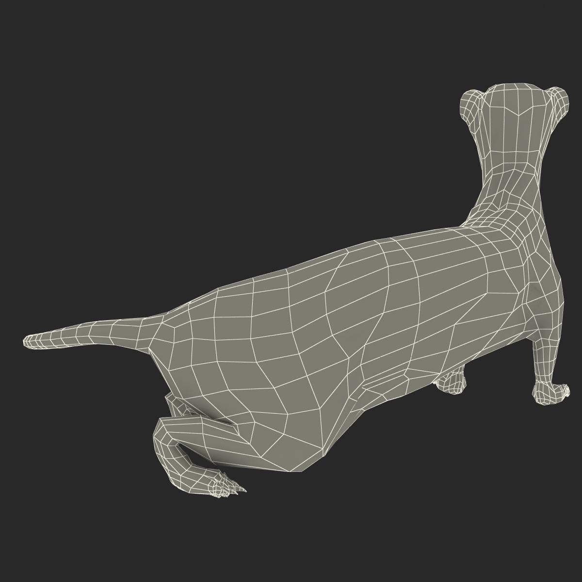 3d model weasel pose 4 fur