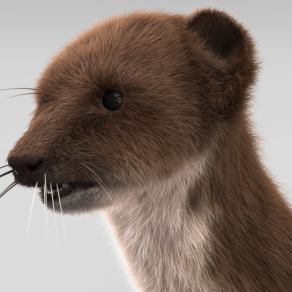 3d model weasel rigged fur