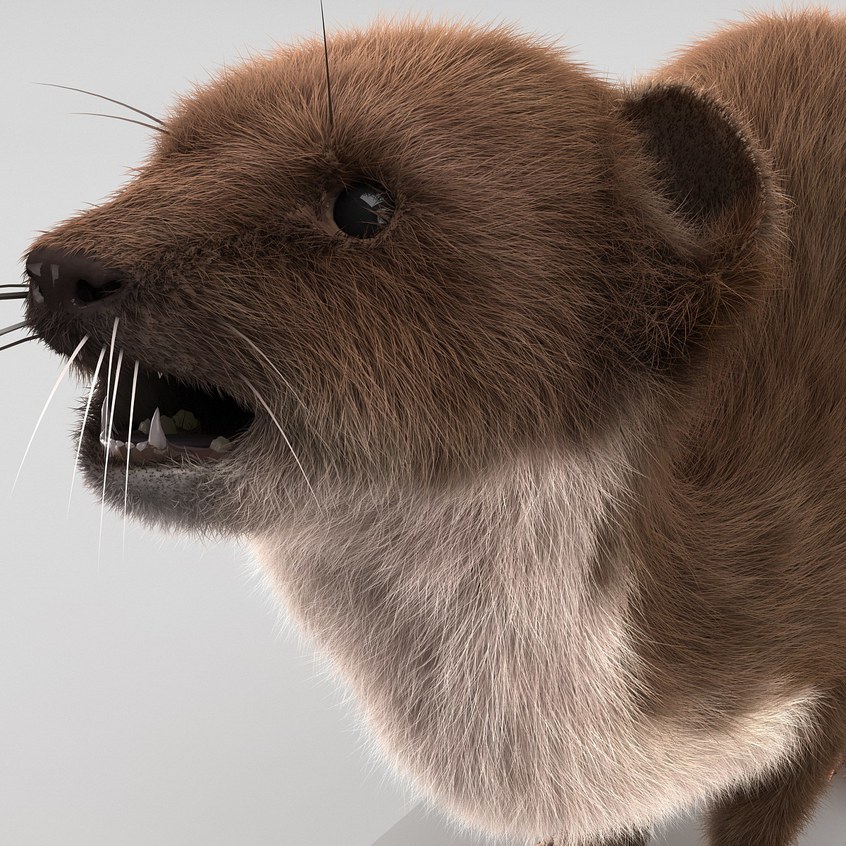 3d model weasel rigged fur