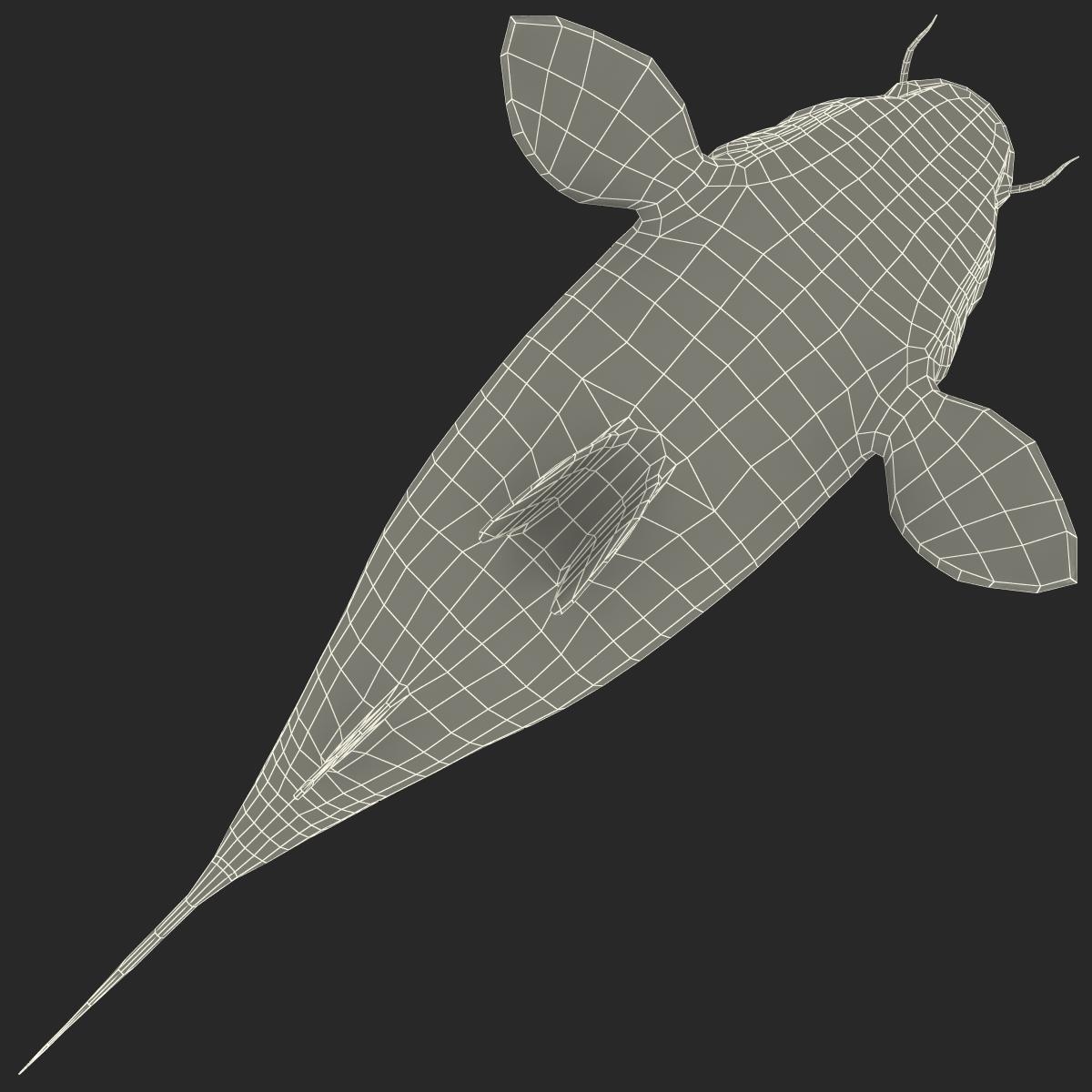 3d model koi fish