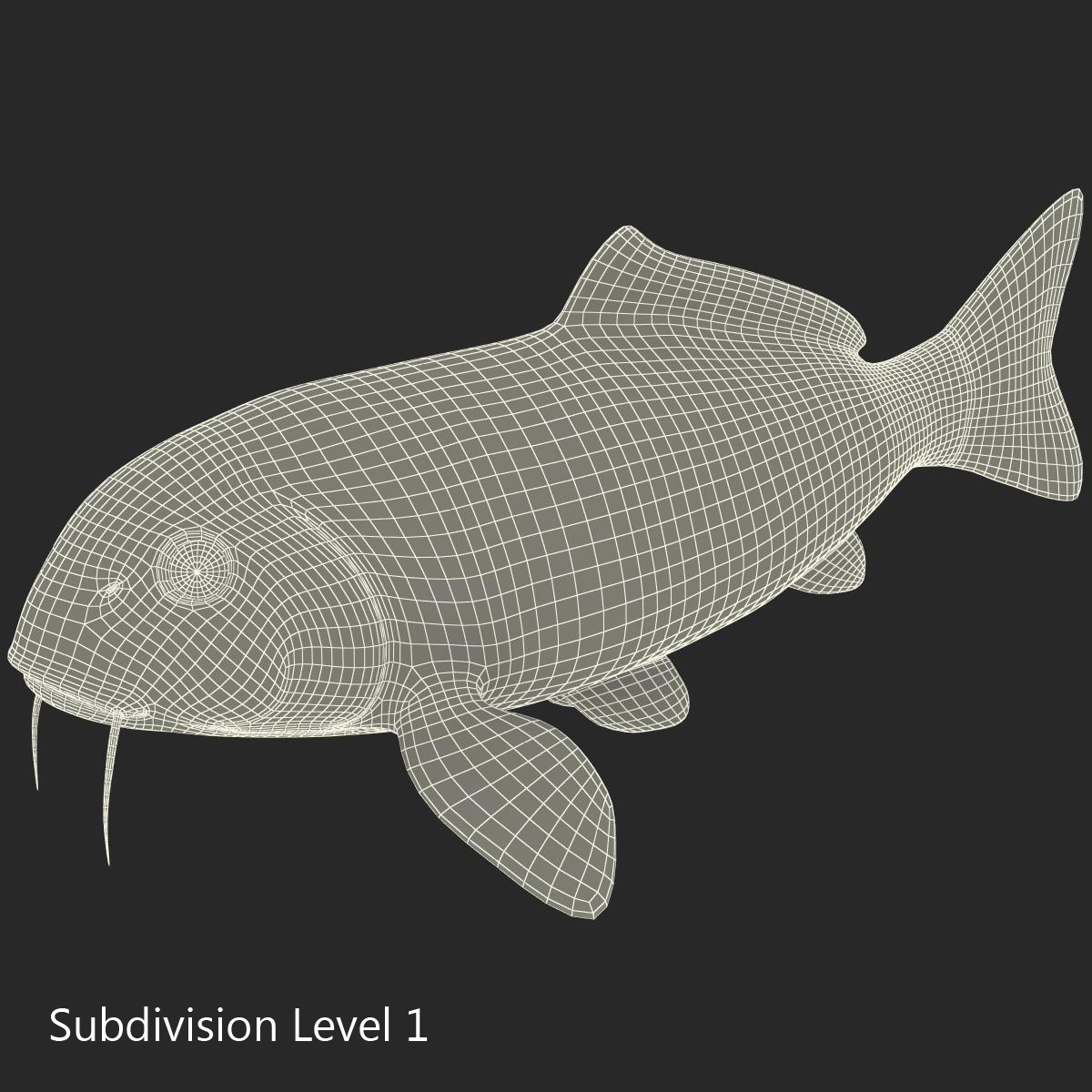 3d model koi fish