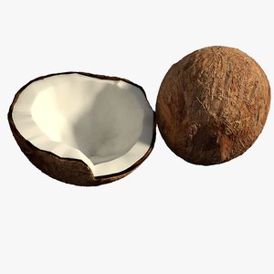 3D Coconut Models | TurboSquid