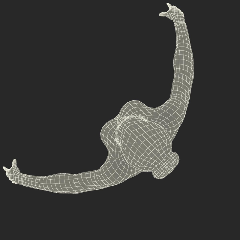 3d olympic female gymnast