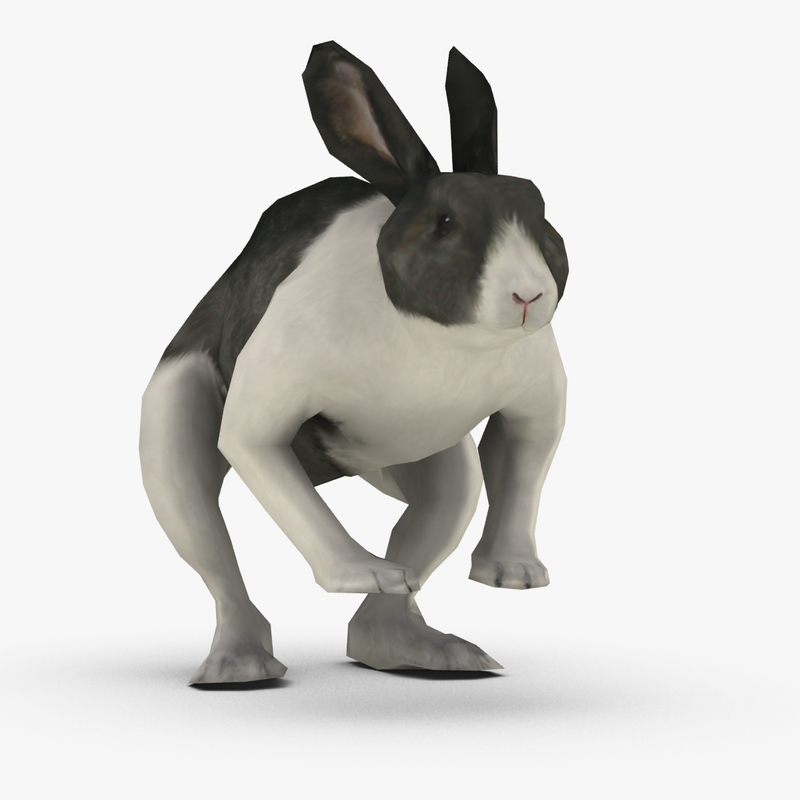 rabbit polygons 3d model