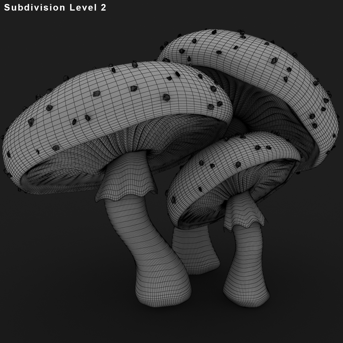 obj mushrooms amanita