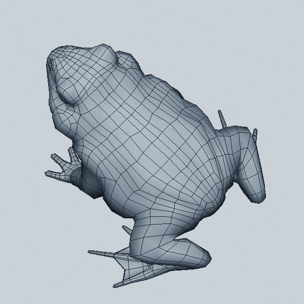 toad 3d model
