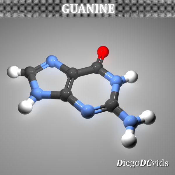 nucleobase guanine dna 3d model