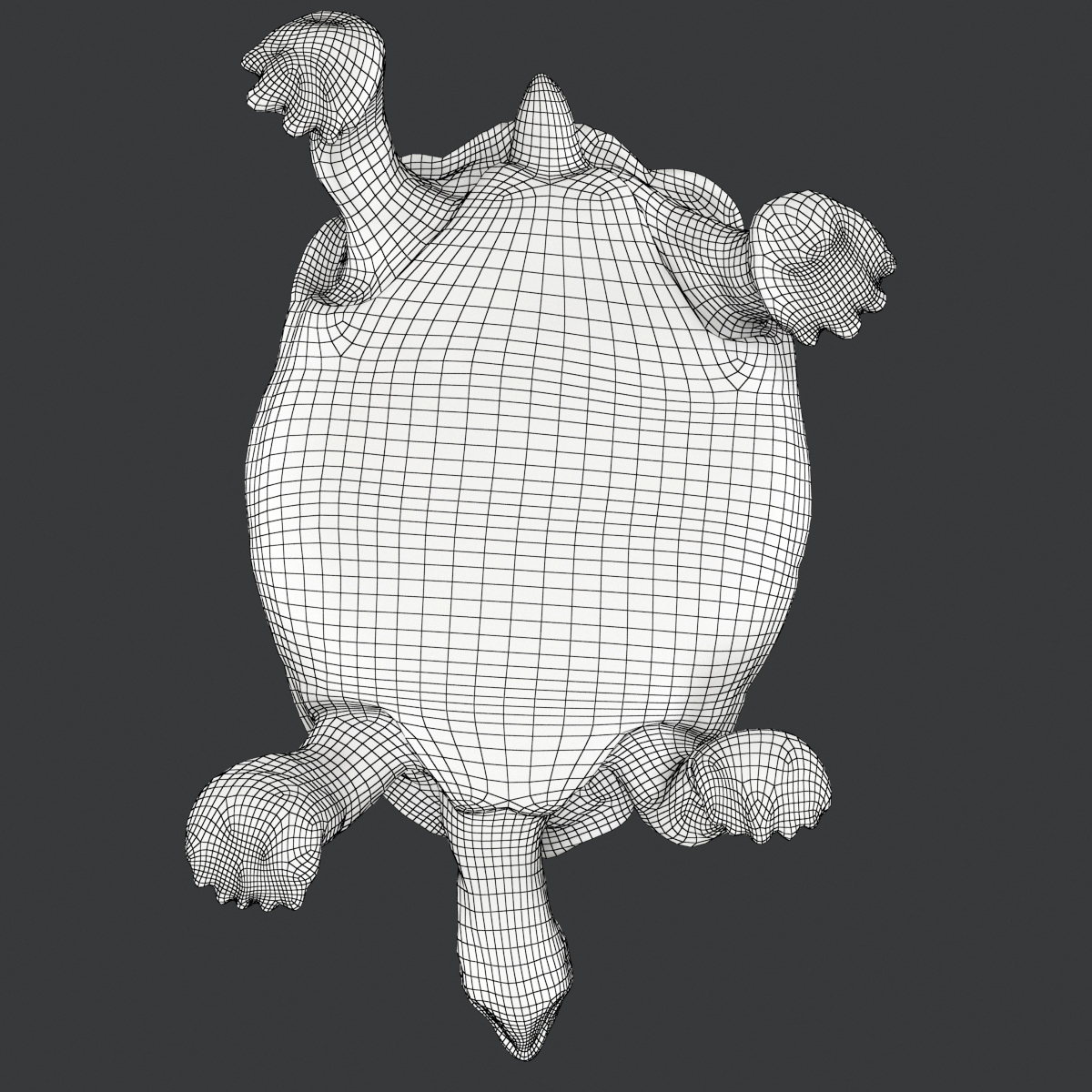 tortoise turtle 3d model