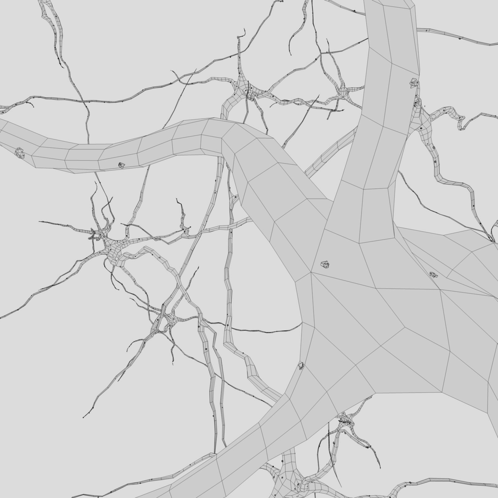 neurons glial cells c4d