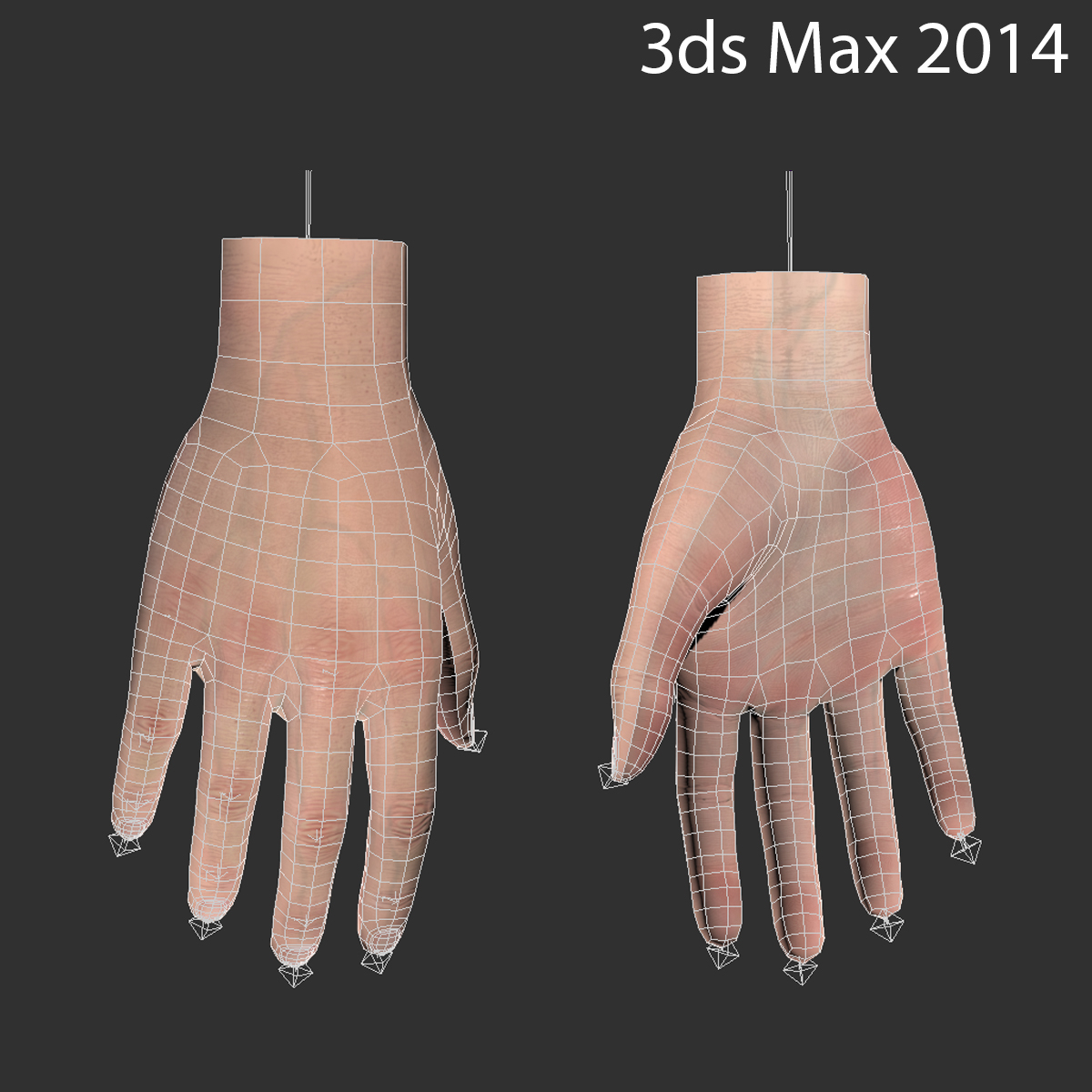 basic hand rigged 3d max