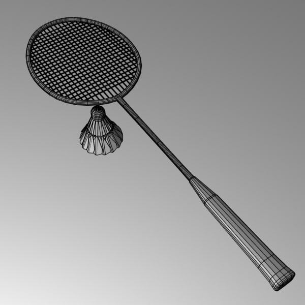3d badminton racket