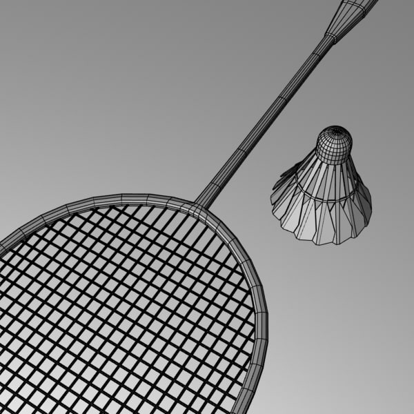 3d badminton racket