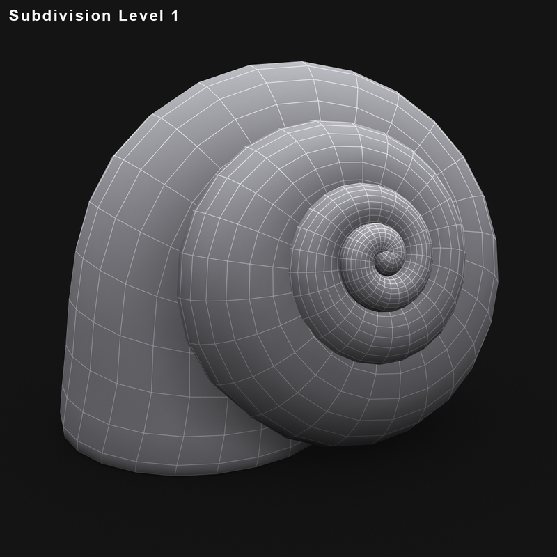 3d snail shell model
