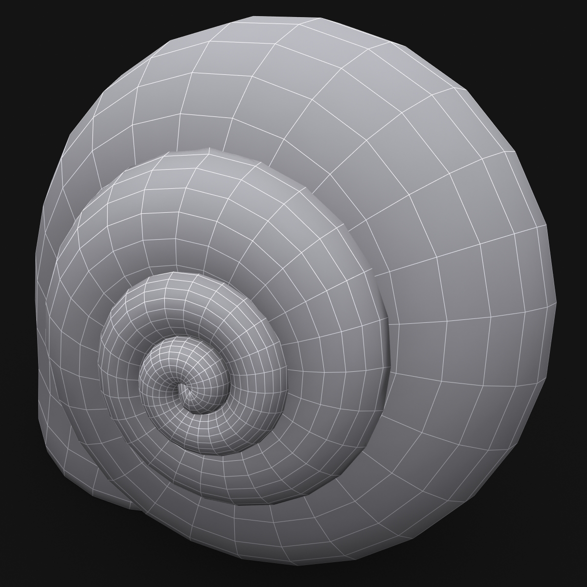 3d snail shell model