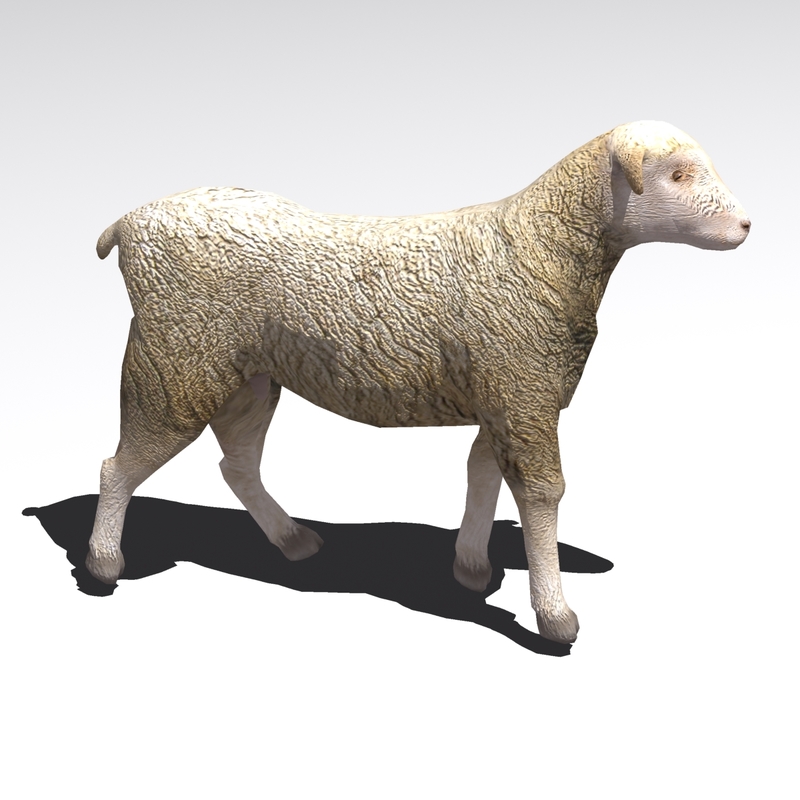 arabi sheep 3ds
