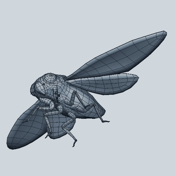 3d model cicada wing
