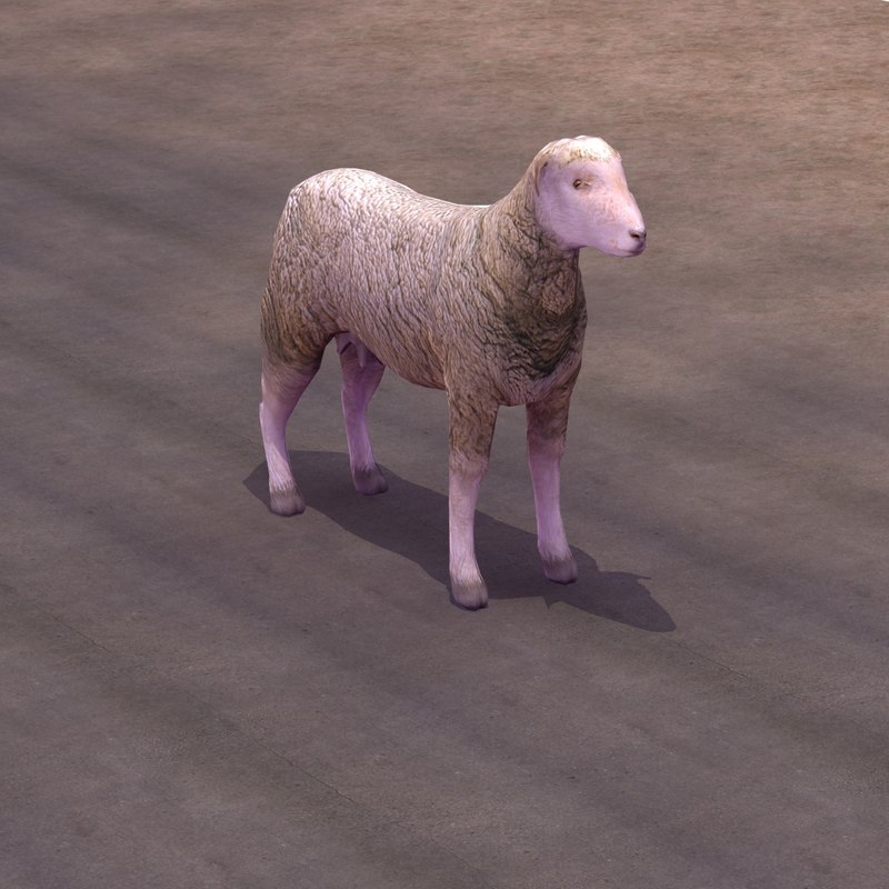 arabi sheep 3ds