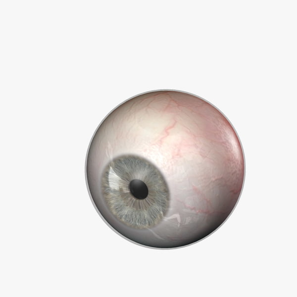 3ds max human eye