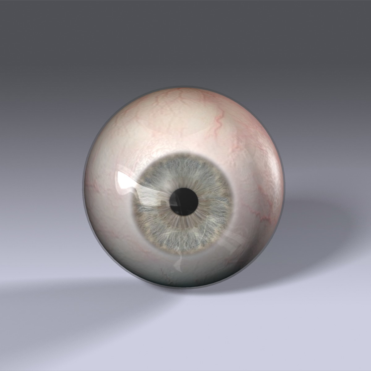 3ds max human eye