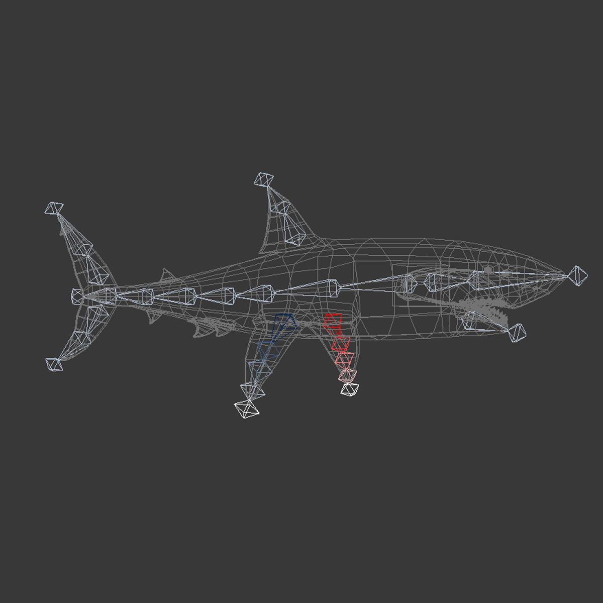 3d model shark animation