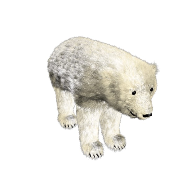 3d-polar-bear-model