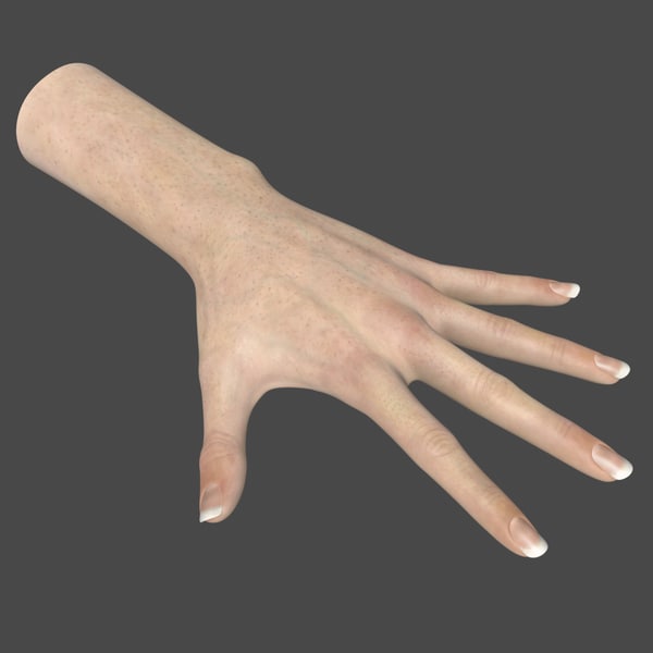 realistic female hand 3d max