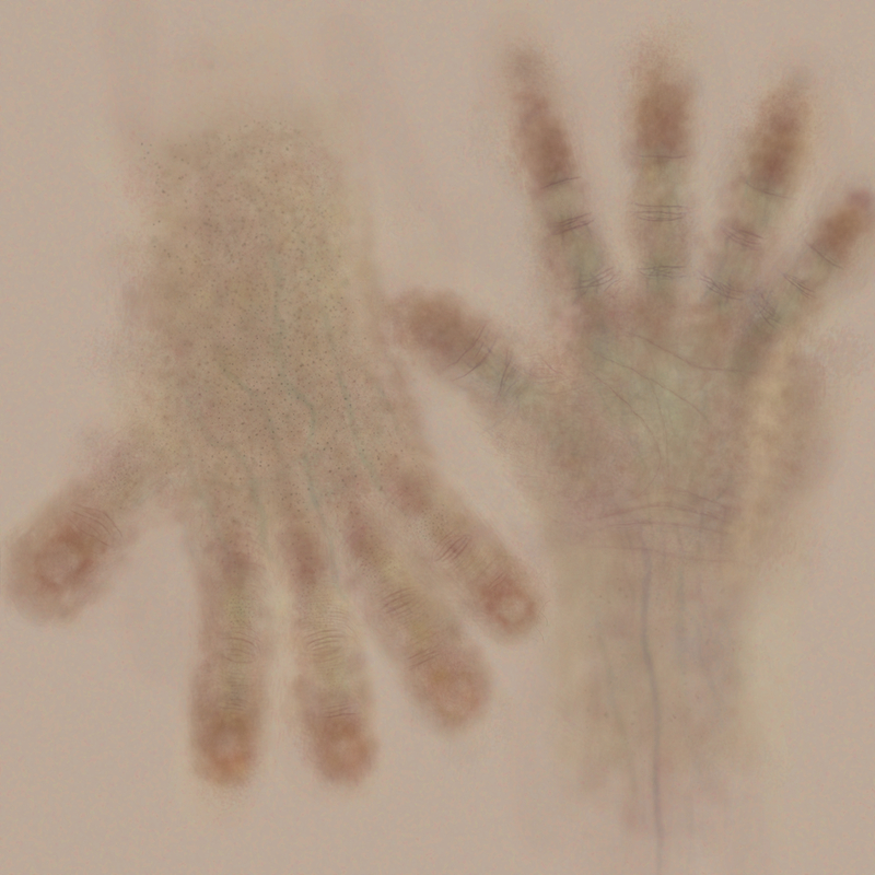 realistic female hand 3d max