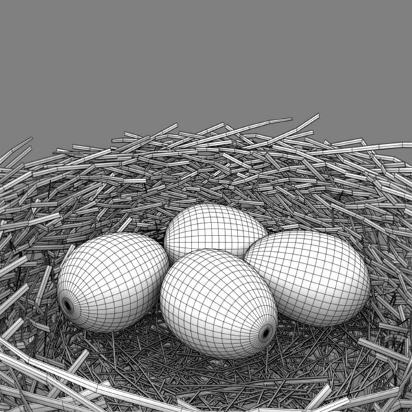 bird nest eggs 3d model