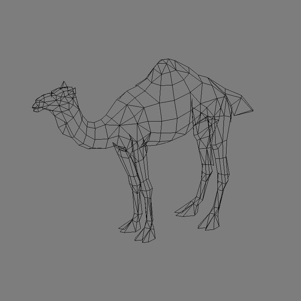 3d camel