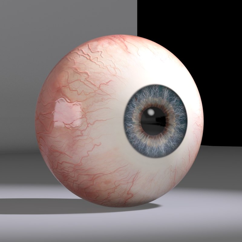 Human Eyeball Eyes 3d C4d