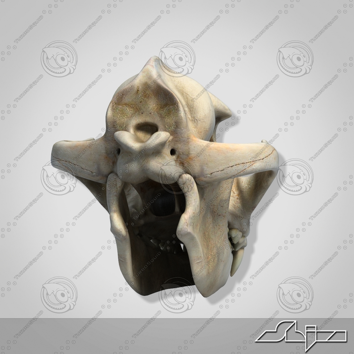 dog skull 2 3ds
