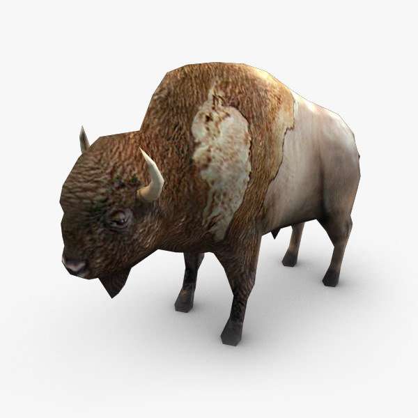 3D Buffalo Models | TurboSquid