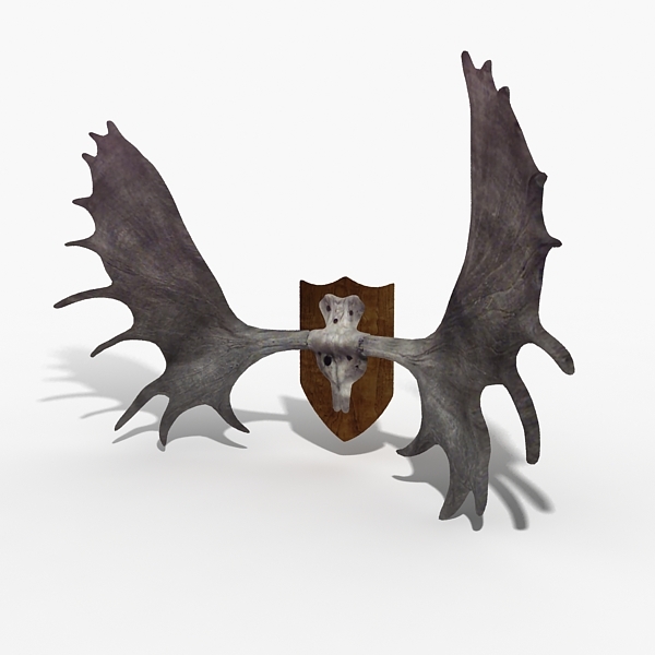 moose antlers 3d model