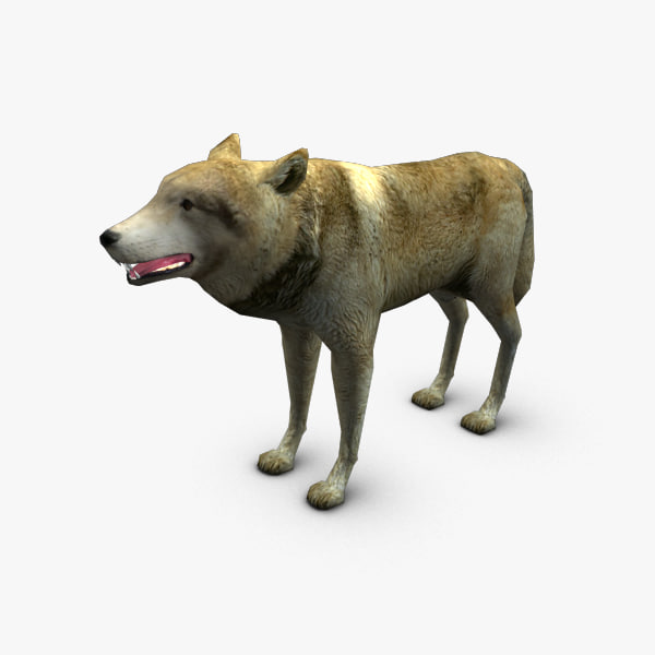 modelo 3d Lobo - TurboSquid 651990