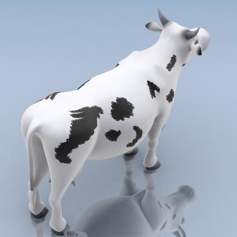 3d cow animation