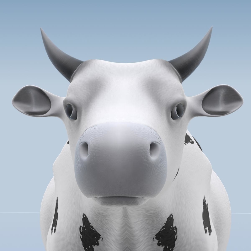 3d cow animation