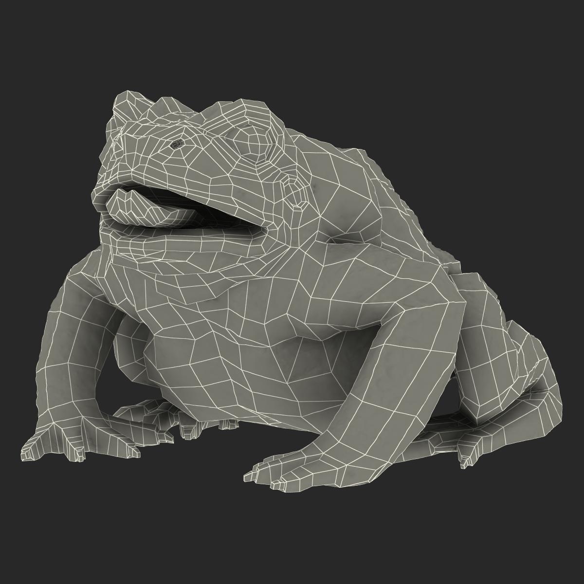 max frog cane toad