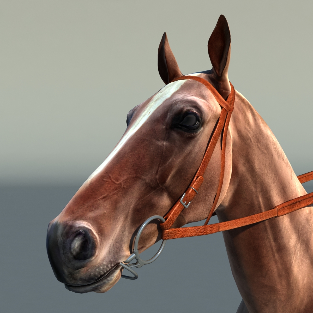 3d thoroughbred horse rig